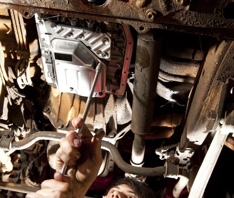 Index of /wp-content/uploads/2017/02